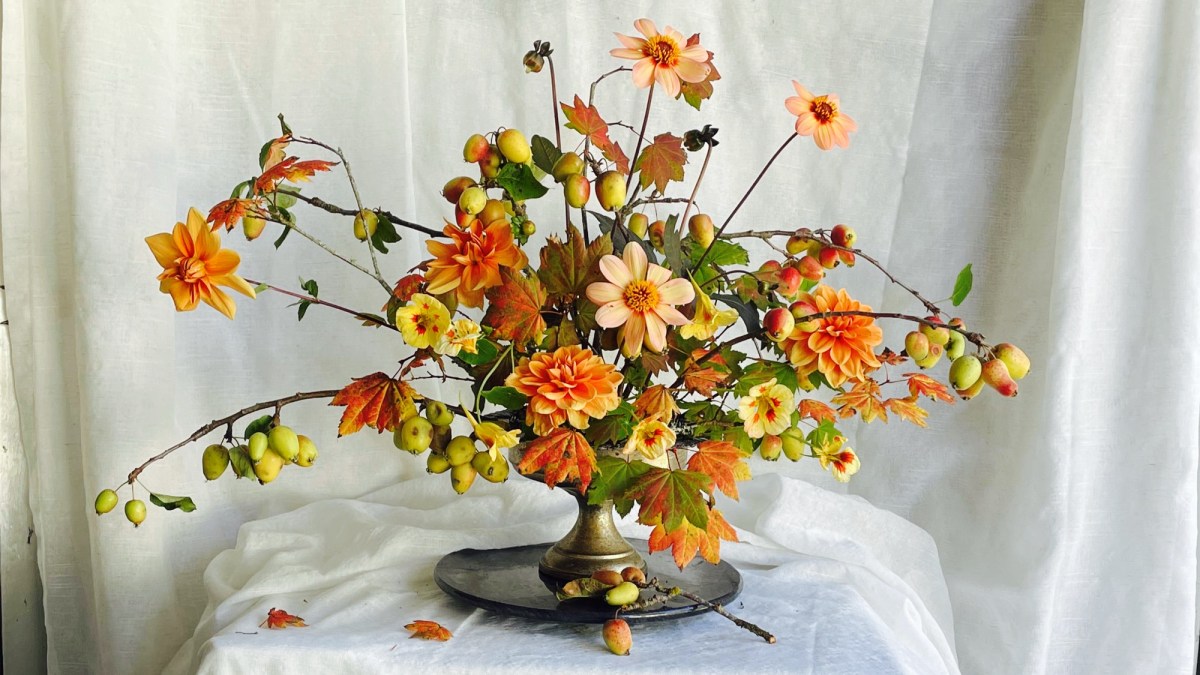 seed design – nourishing beautiful space