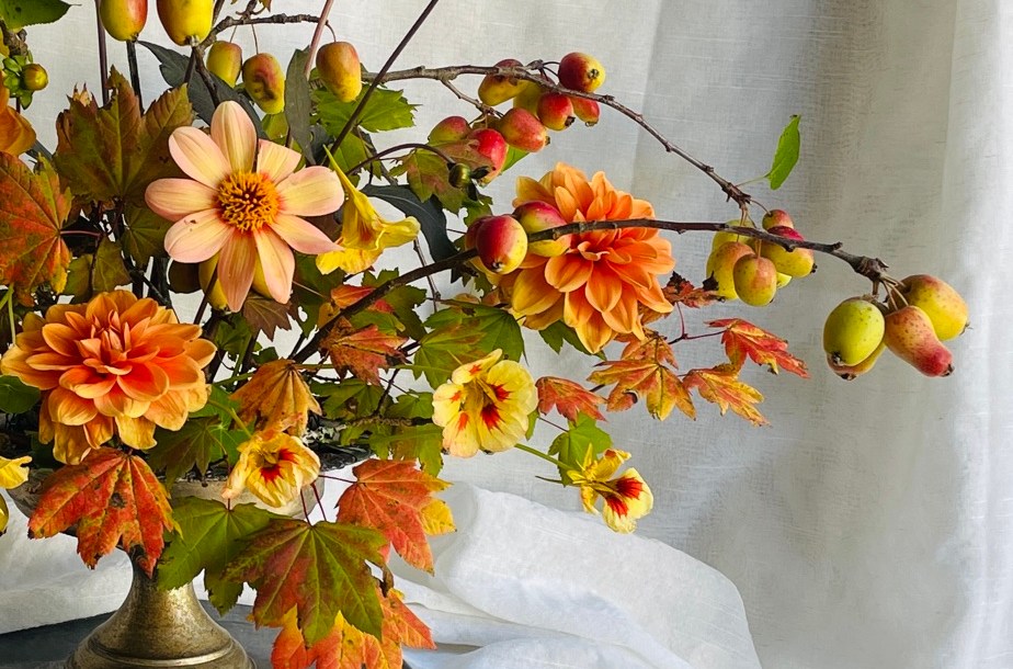 seed design – nourishing beautiful space